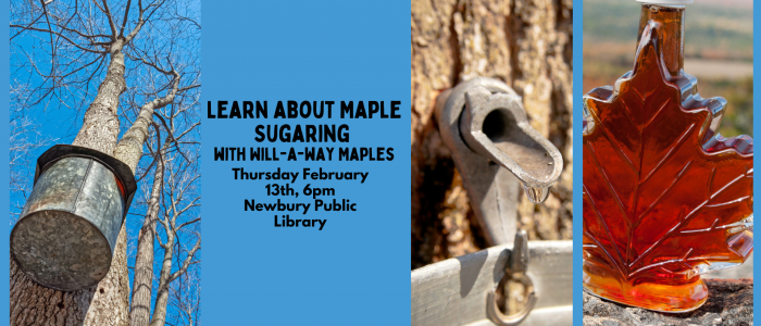 Newbury Public Library (NH) – More Than Books.